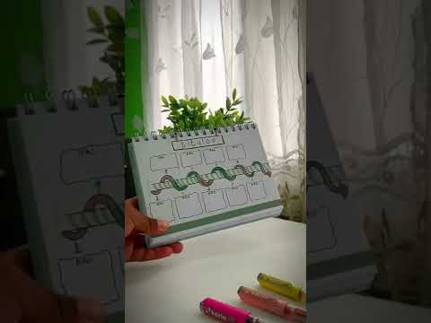 Lineas Del Tiempo вџ Apuntesbonitos Parati Lettering Regresoaclases