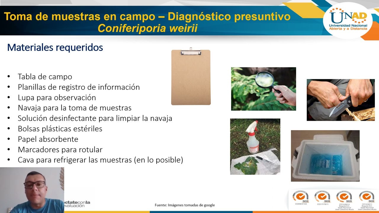 Fase 3 Diagnóstico Fitopatológico Jcgg Youtube