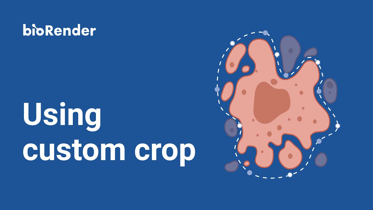 Using Custom Crop Youtube