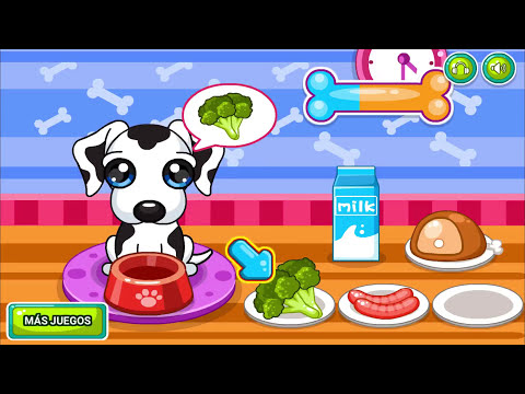 Conocer Perro Y Gato Juegos Gratis Citas Romanticas Para Adultos En