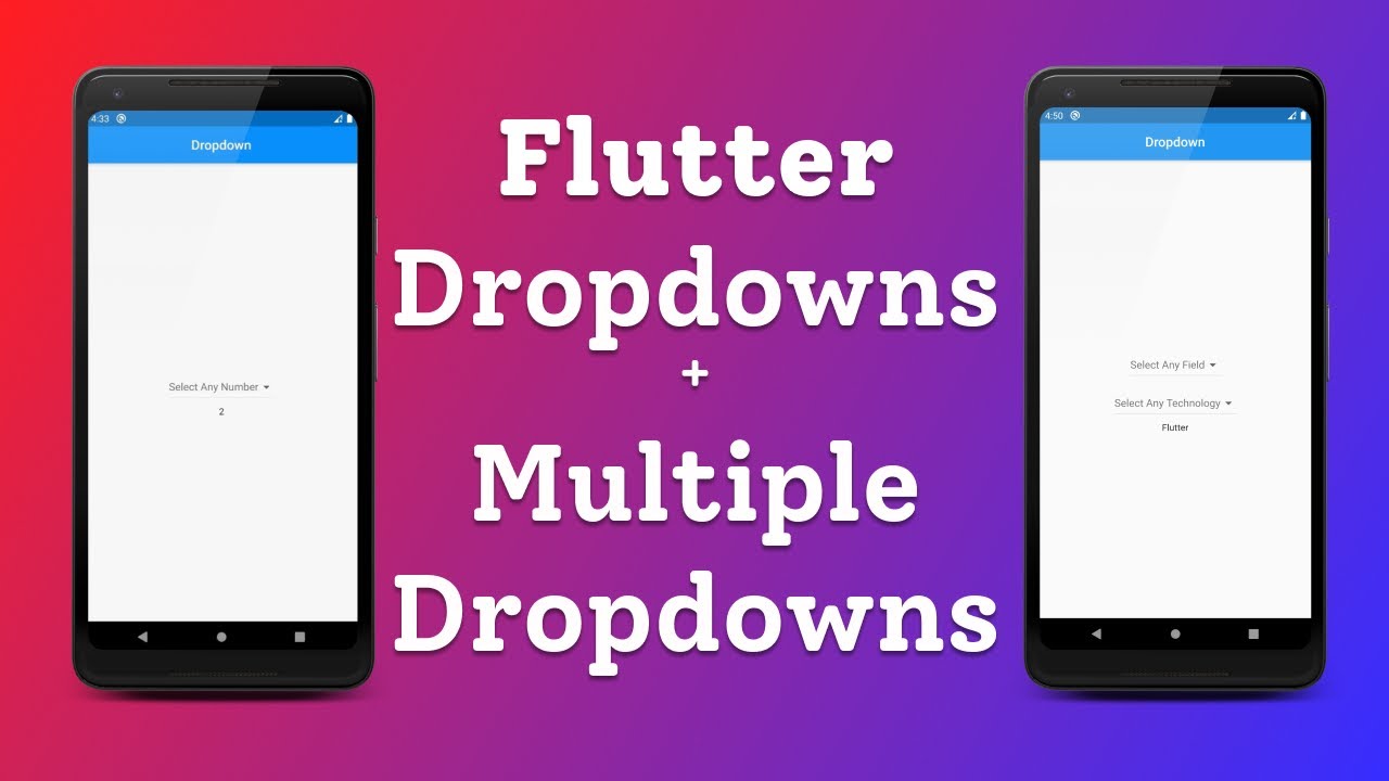 Flutter Form Dropdown List Lomitodays