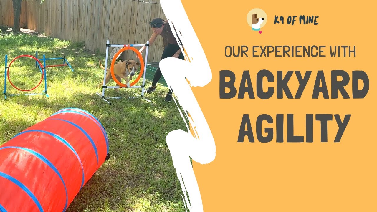 Backyard Agility At Home Dog Enrichment Youtube