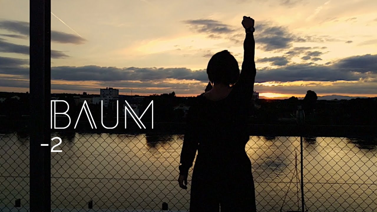 Baum 2 Official Video Youtube