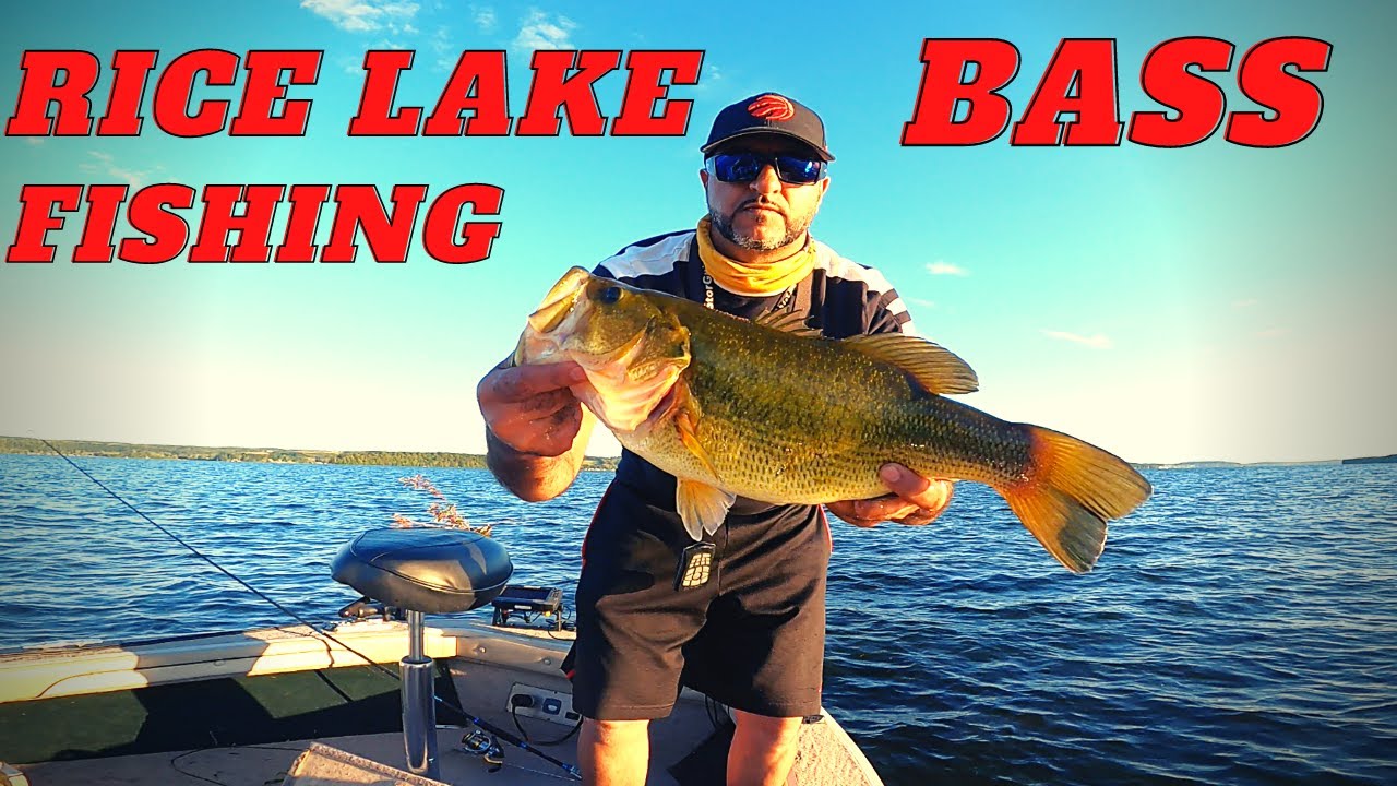 Rice Lake Bass Fishing Largemouth Bass Youtube