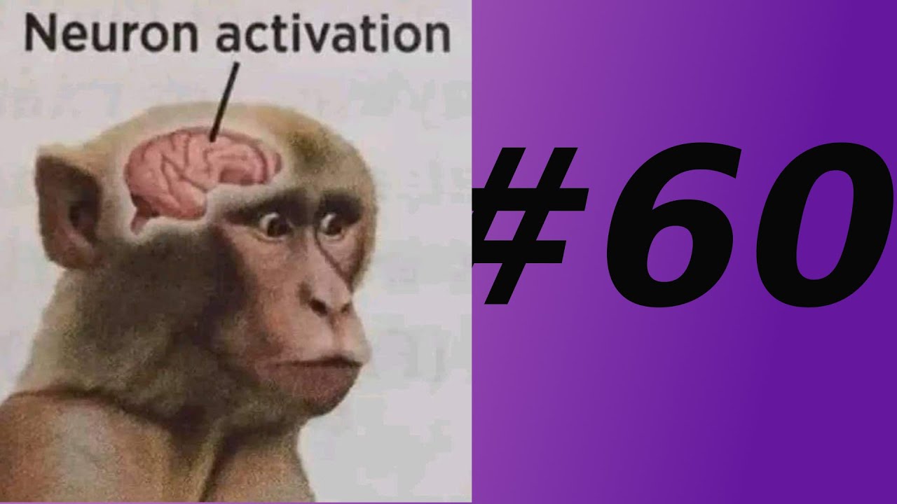 Shitposting Compilation Videos Random Memes Video Graciosos 60