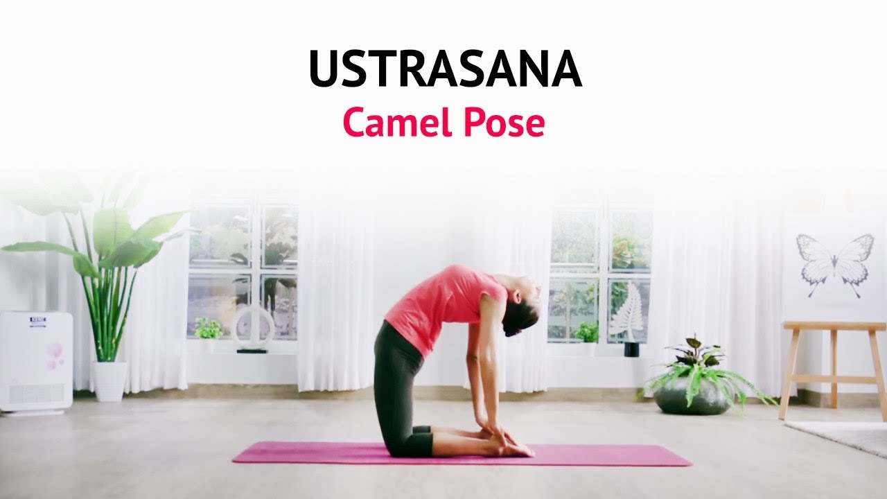 Camel Pose Steps