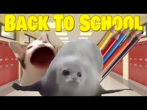 Bouncing Seals Back To School Youtube