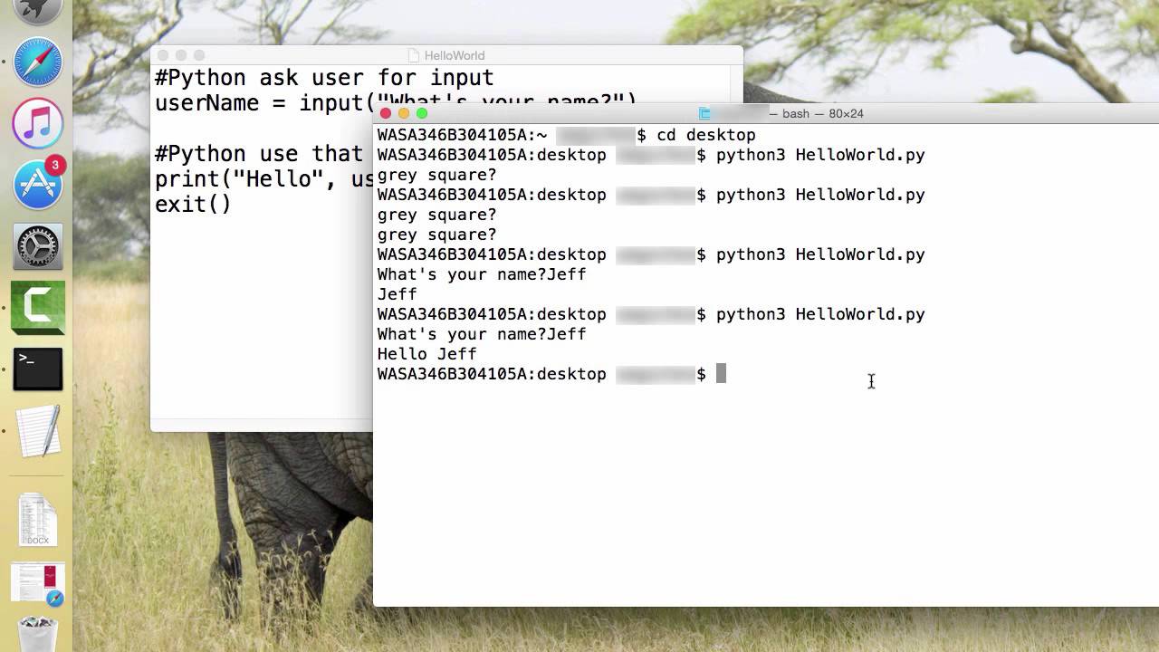 Input Variable Python