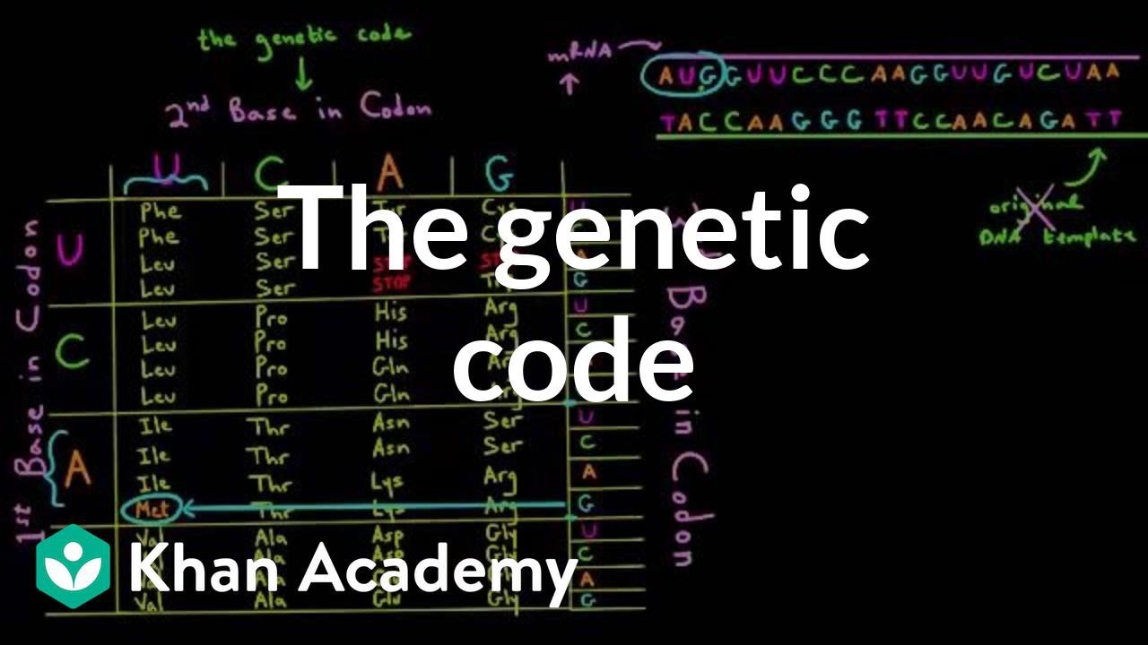 The Genetic Code Youtube