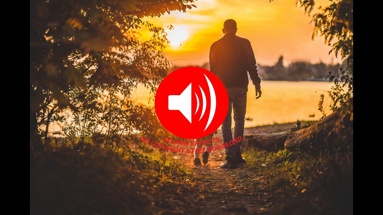 Free Music Downloader Everything Free Music Download No Copyright