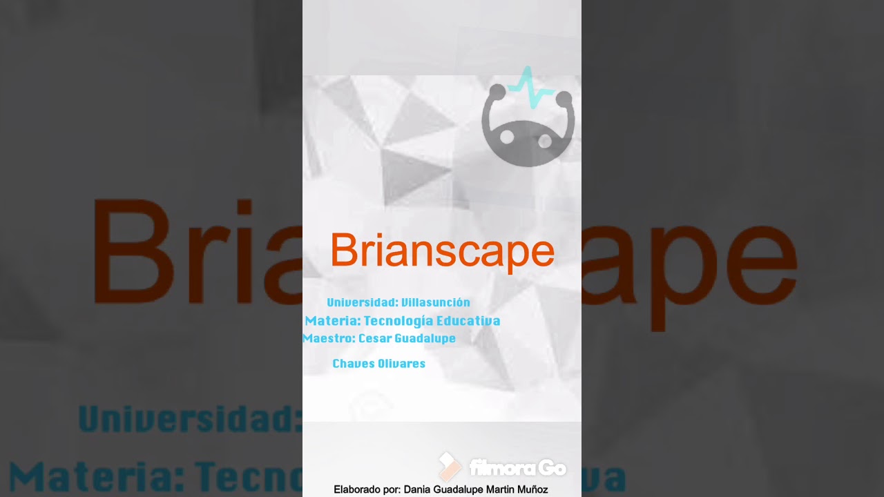 Video Tutorial Brainscape Youtube