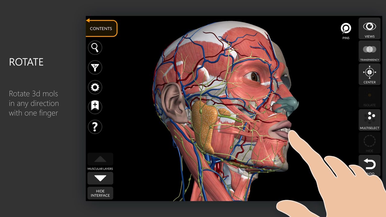 Human Anatomy 3d App