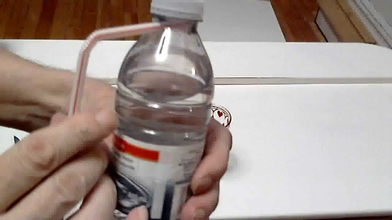 Homemade C02 Bedbug Trap Homemade Ftempo