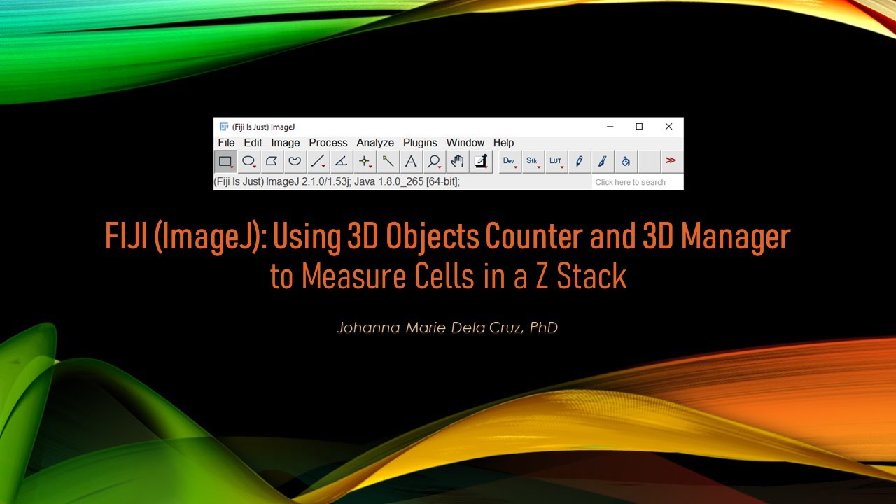 Fiji Imagej Using 3d Objects Counter And 3d Manager To Measure Cells