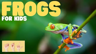 Pandas For Kids Learn All About These Bamboo Loving Bears Videos