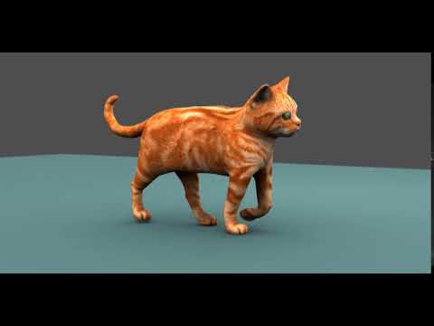 Cat Walk Cycle Test Youtube
