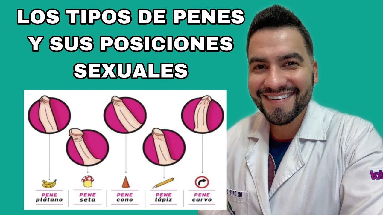 Las Diferentes Posiciones Sexuales Para Cada Tipo De Pene Tipos De