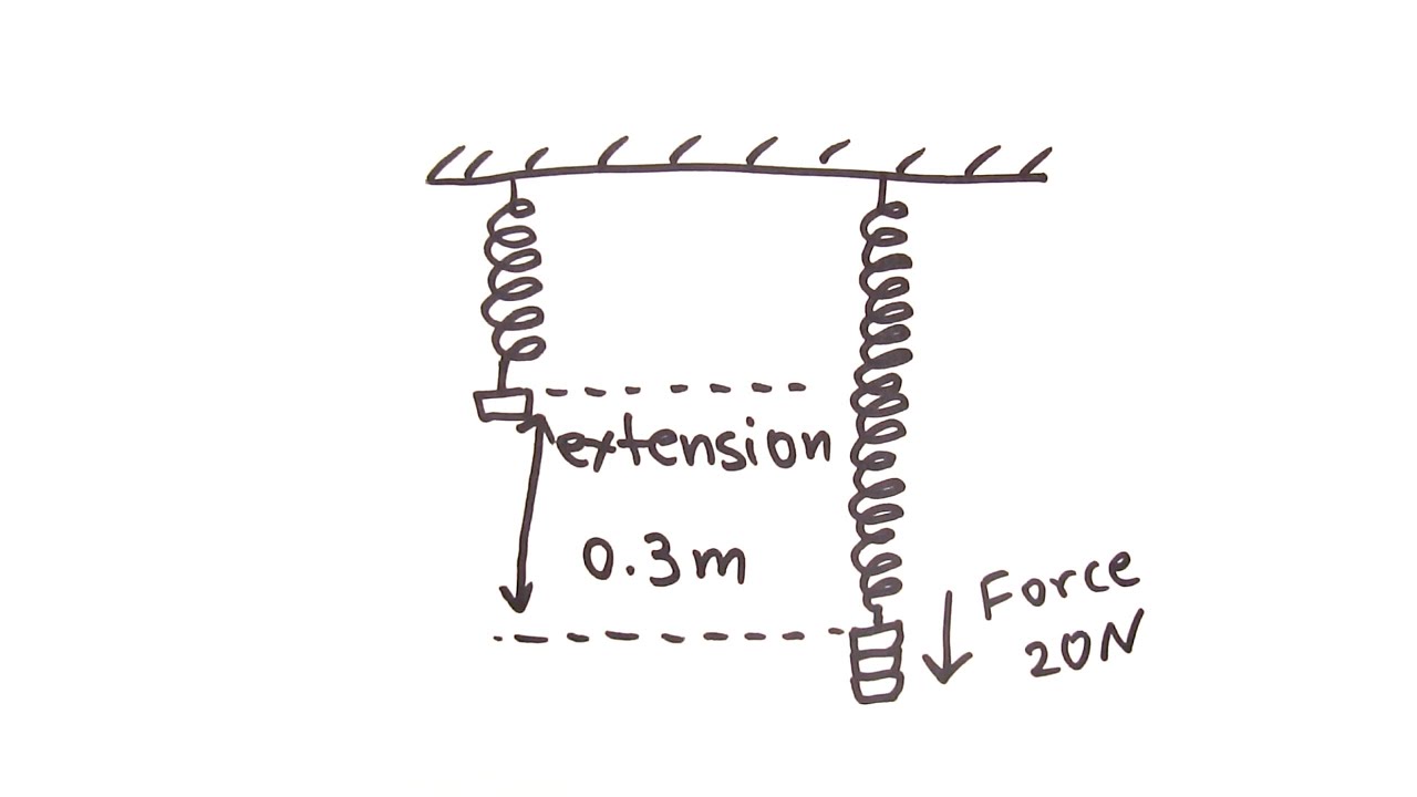 Hooke S Law Gcse Physics Doodle Science Youtube