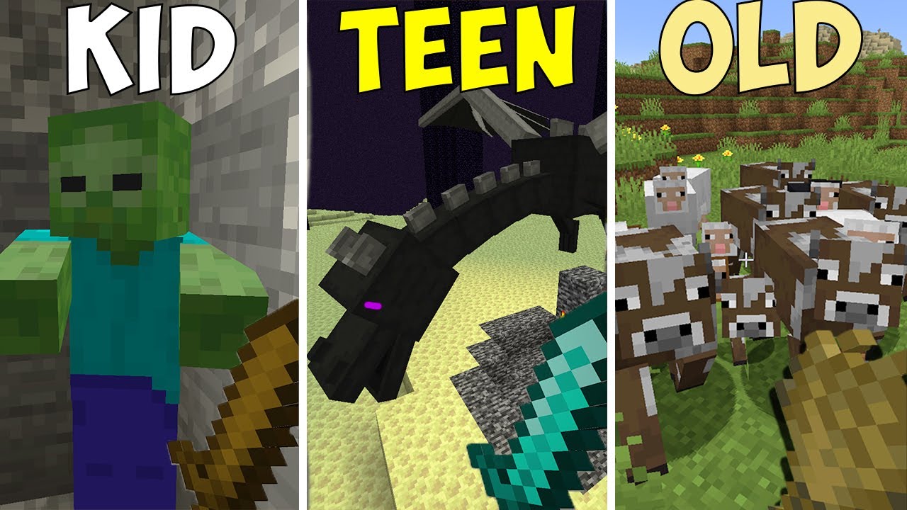 How Minecraft Played At Different Ages Kid Vs Teen Vs Old Youtube
