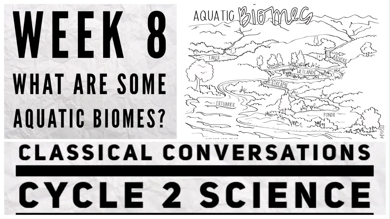 Cc Cycle 2 Science Week 8 Aquatic Biomes Youtube