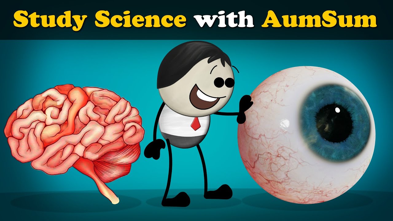 Learn Science With Aumsum Aumsum Kids Science Education Children