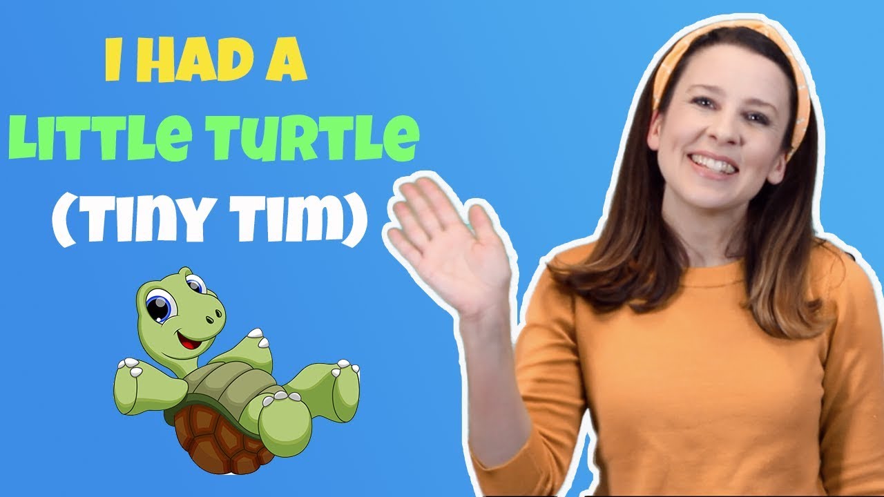 Tiny Tim I Had A Little Turtle Youtube Music