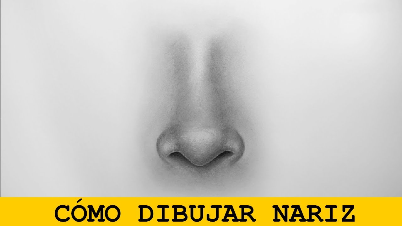 Como Hacer Una Nariz Paso A Paso Baronbeauty