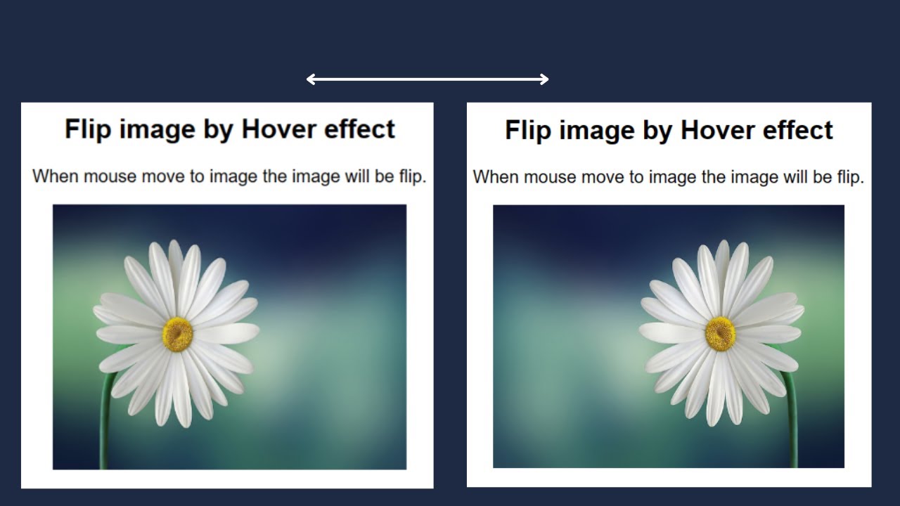Image Flip In Html Css Image Flip Property Youtube