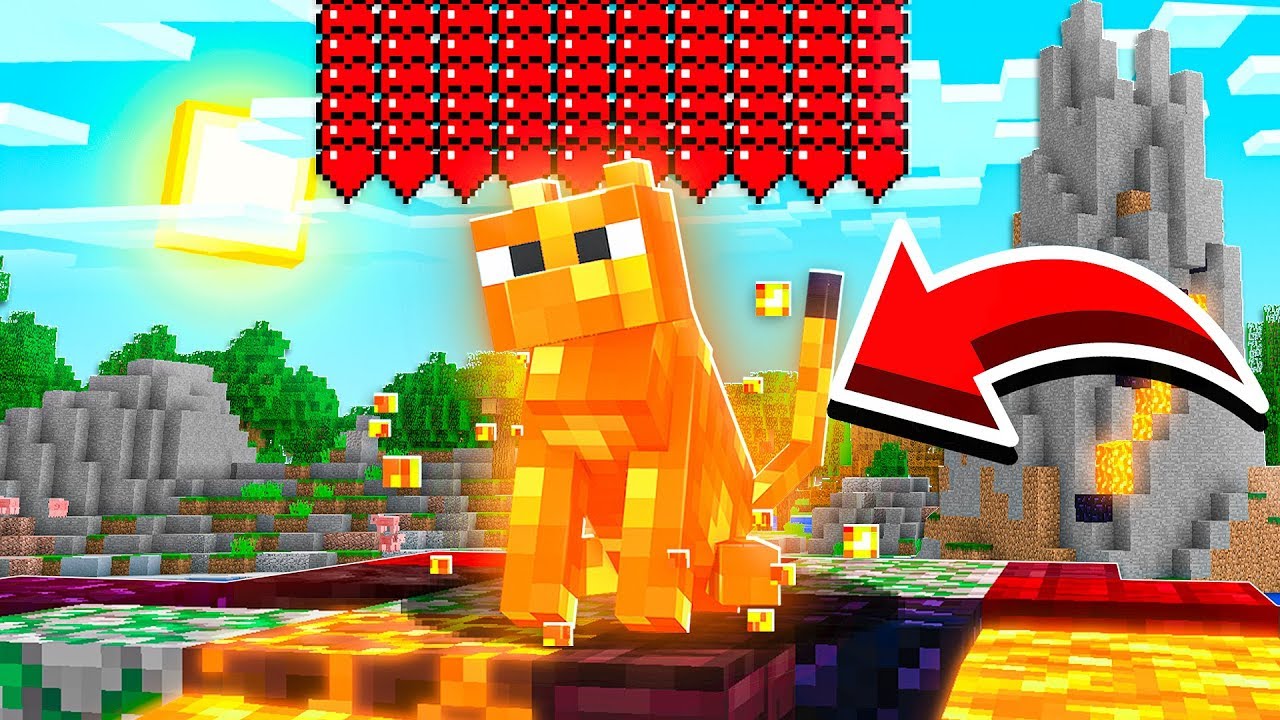 What Is The Rarest Color Of Cat In Minecraft At Douglas Tijerina Blog