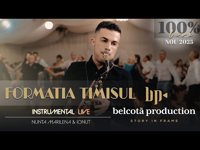 Formatia Timisul - Instrumental LIVE Nunta Marilena & Ionut