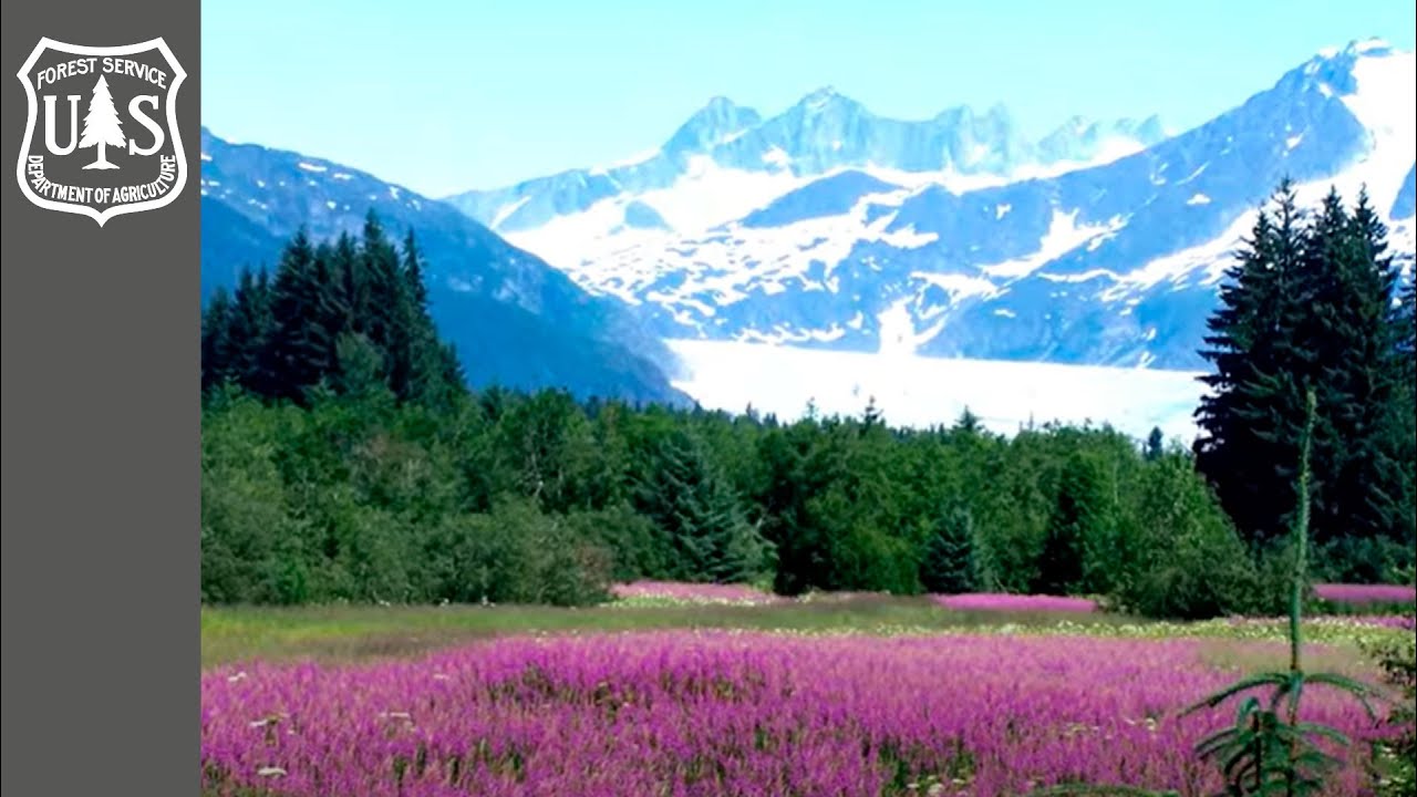 Tongass National Forest Sustainable Operations Youtube