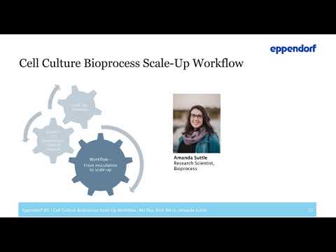 Cell Culture Bioprocess Scale Up Workflow From Bench To Pilot