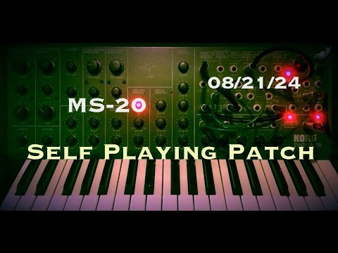 Korg Ms 20 08 21 24 Self Playing Patch Youtube