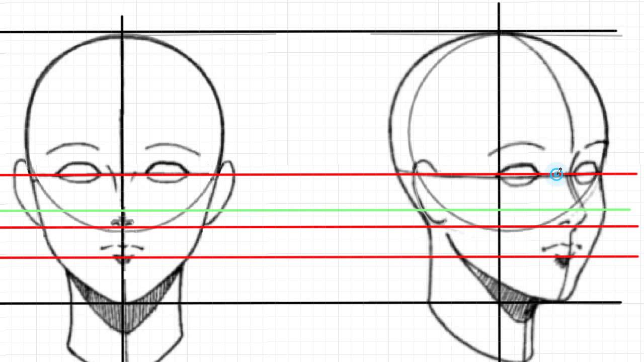 Comic Book Face Proportions Pin On Anatomía Artistas Cara