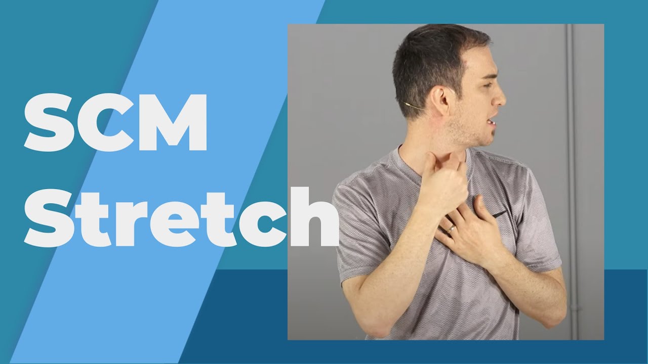 Sternocleidomastoid Stretch Scm For Posture Correction Youtube