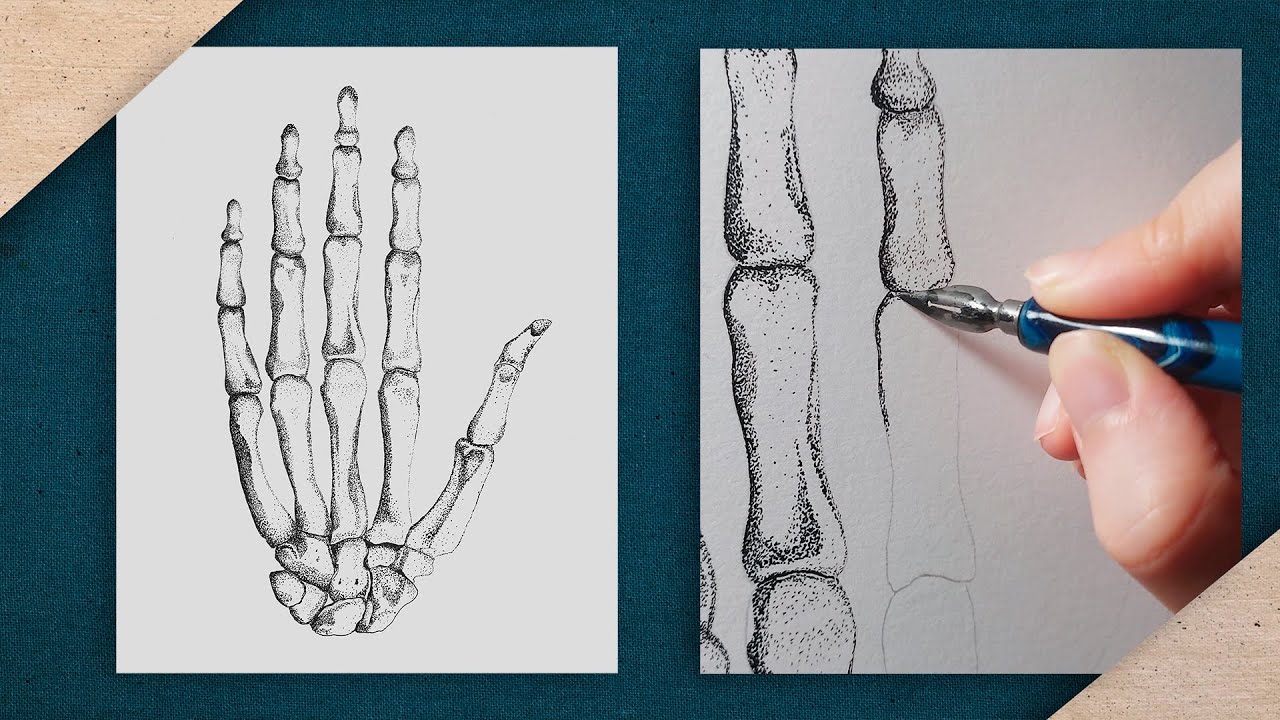 How I Made This Illustration The Anatomy Of The Hand Artlesson