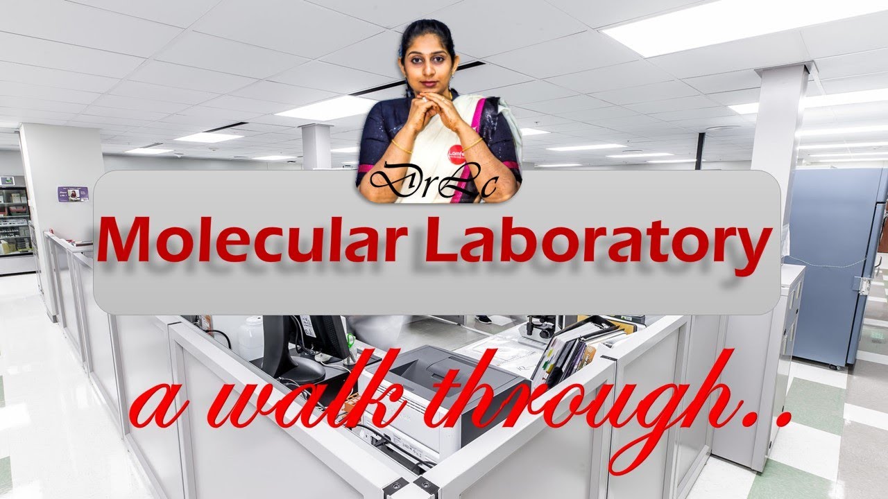 Molecular Laboratory Setup Complete Walkthrough Youtube