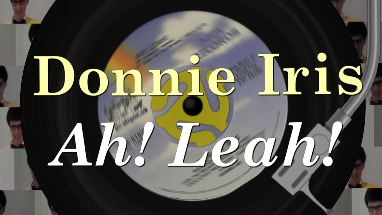 Donnie Iris Ah Leah Lyrics Youtube