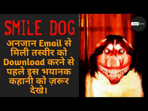 Smile Dog Story Selfies Cute Taken Dogs Selfie Scary Taking Newsitems ...