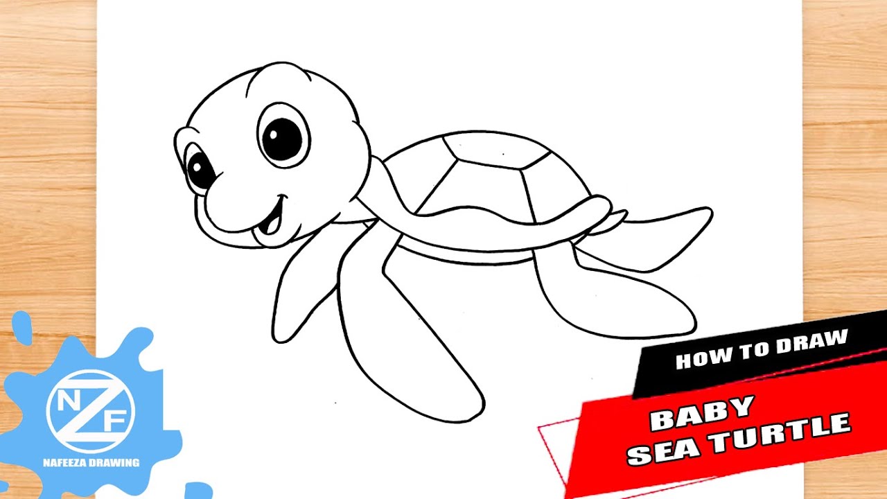 How To Draw Baby Sea Turtle Youtube