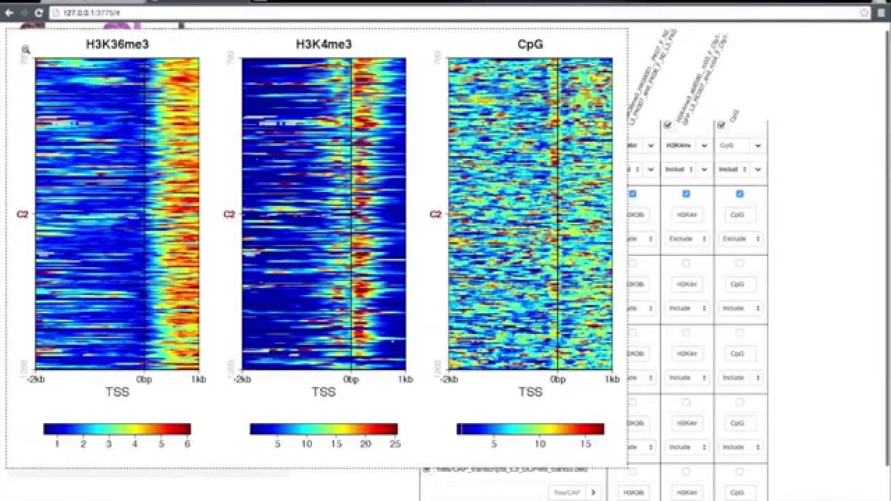 Seqplotsdemo Youtube