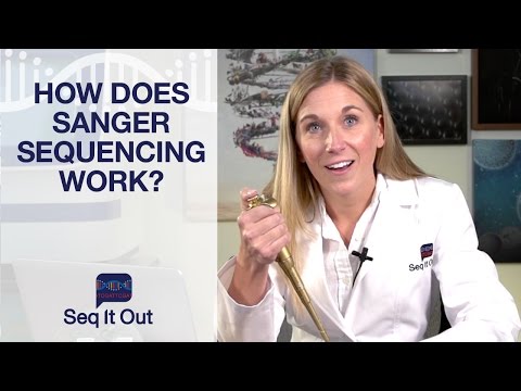 Sanger Sequencing Method Principle Steps And Applications