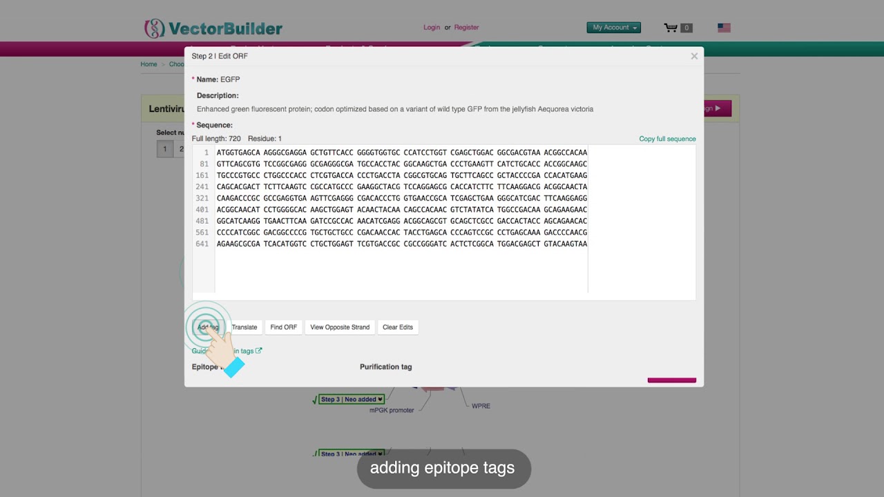 Vectorbuilder Introduction Youtube