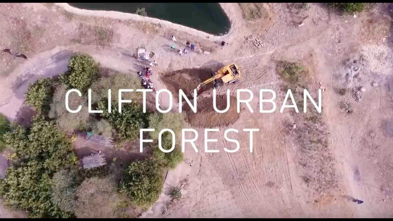 Sugi Clifton Urban Forest Karachi Pakistan Nature Based Solutions