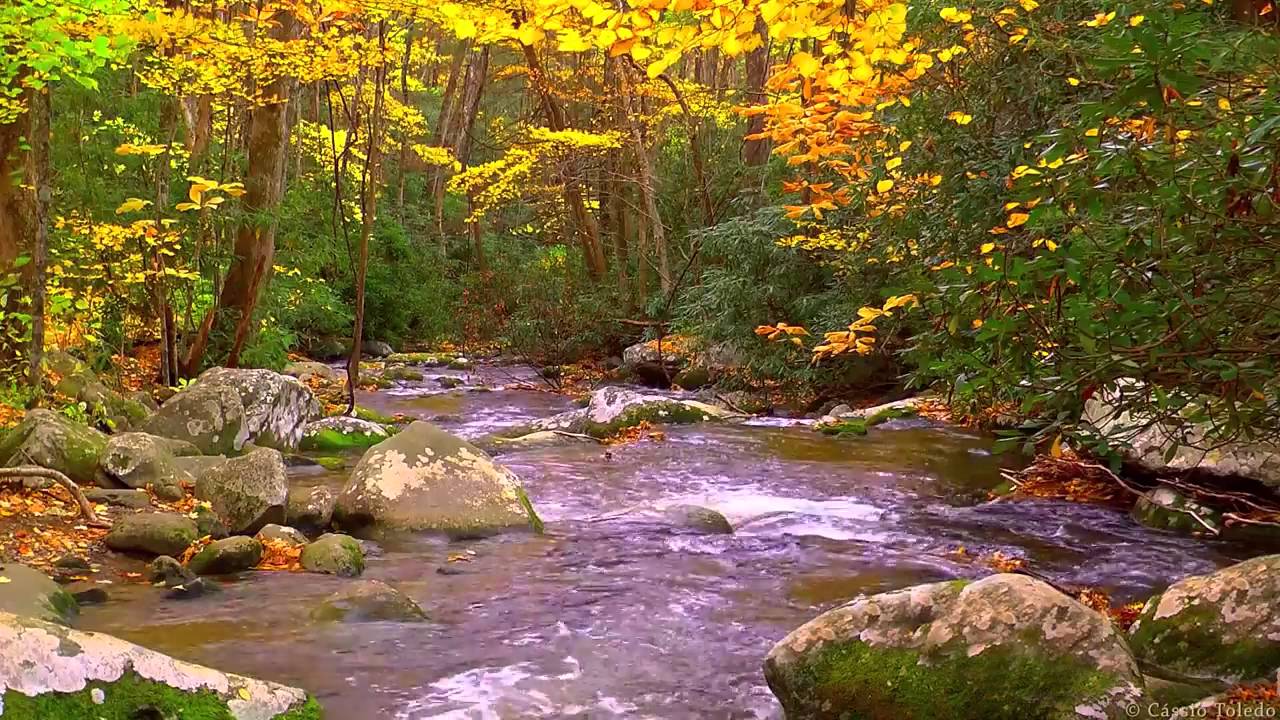 Relaxing Music Nature Sounds Autumn Forest Hd Youtube