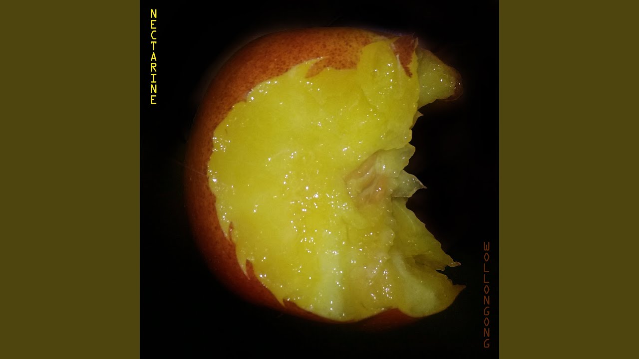 Nectarine Network Youtube