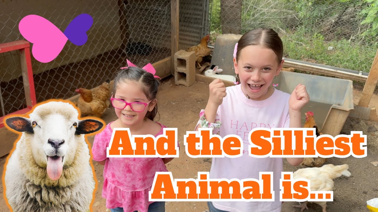 Backyard Petting Zoo Youtube