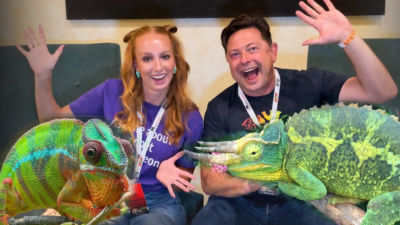 An Interview With Chameleon Academy Bill Strand Youtube