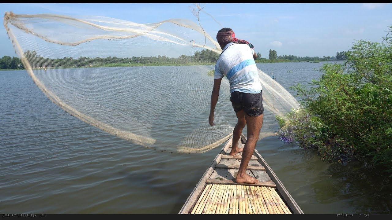 Cast Net Method At Shaun Williamson Blog