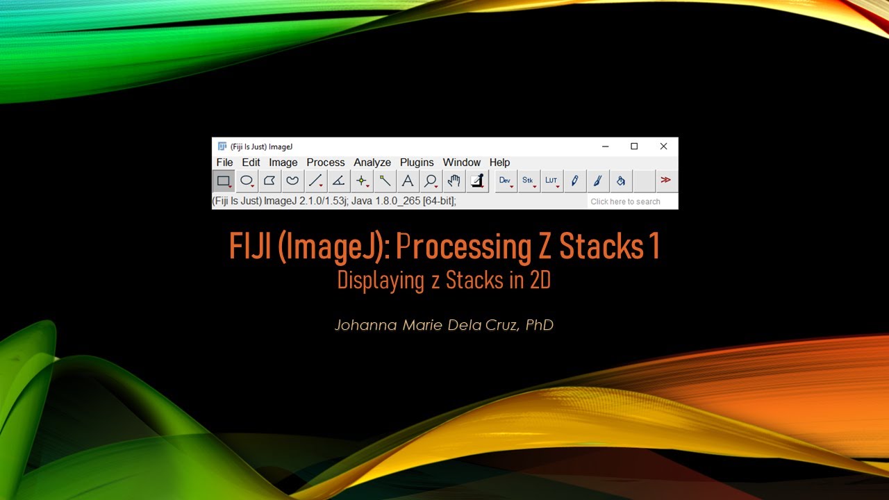 Processing Z Stacks 1 Displaying Z Stacks In 2d Fiji Imagej Youtube